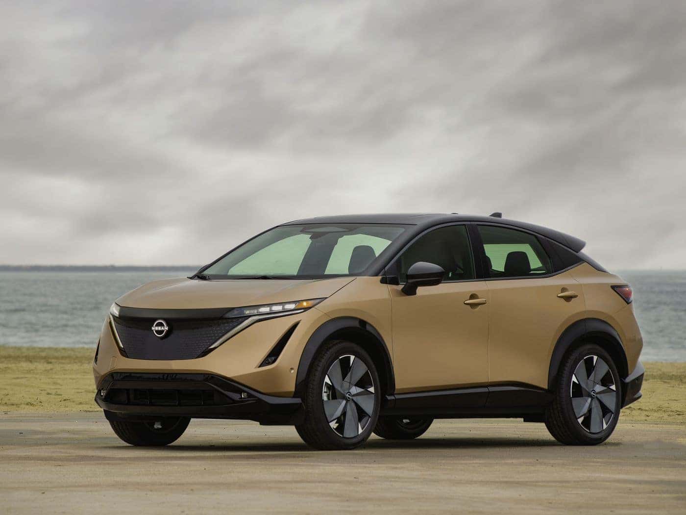 Nissan Adds All-Electric Leaf and Ariya to Live Showroom | Southern ...