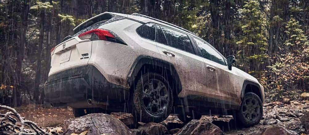 New 2023 RAV4 | Hendrick Toyota Concord | North Carolina Dealership