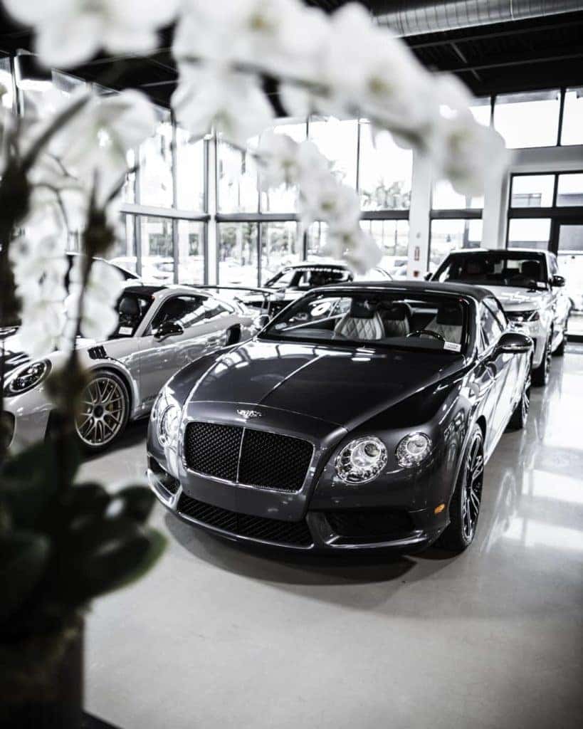 All New and Used Inventory | Ocean Auto Club