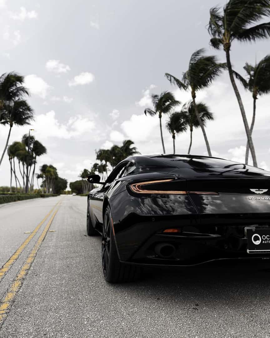 All New and Used Inventory | Ocean Auto Club